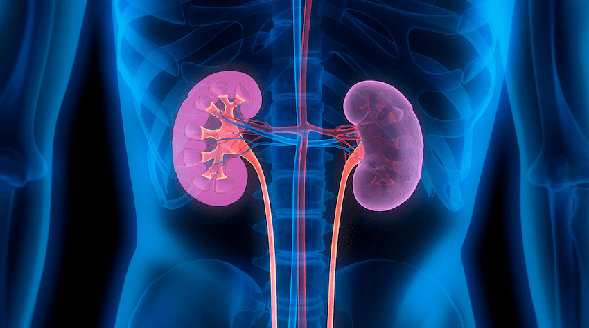 How can diabetes lead to kidney disease? (and how to prevent it)